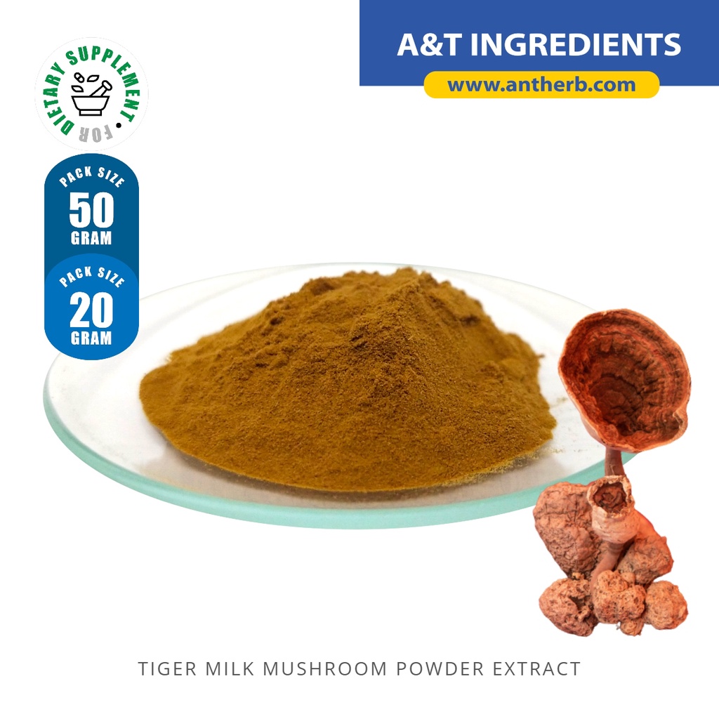 [20g/50g] Tiger Milk Mushroom Powder Extract / 虎乳芝粉末 / Cendawan Susu ...