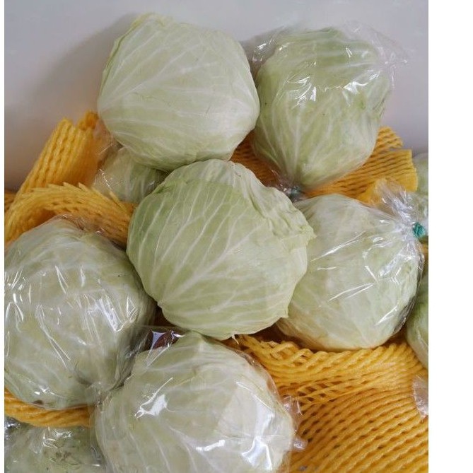 KOBIS MADU CAMERON HIGHLANDS/SWEET CABBAGE (1-3 pcs/biji) | Shopee Malaysia