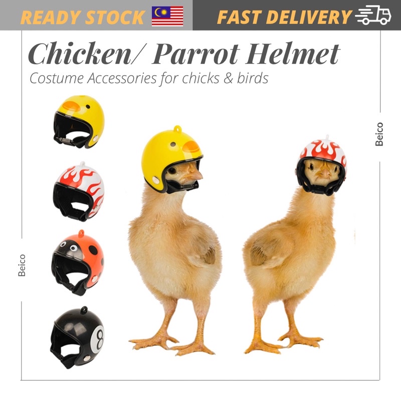 Hens Helmet Chicken Helmet Pet Safety Helmet Funny Parrot Helmet ...