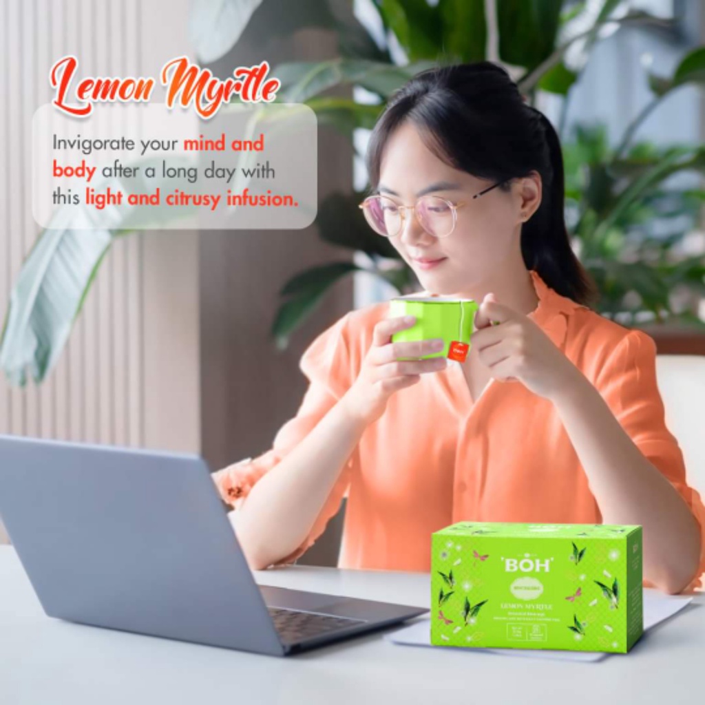 BOH Tea Teh NO CAFFEIN Herb & Fruit Camomile Peppermint Jasmine ...