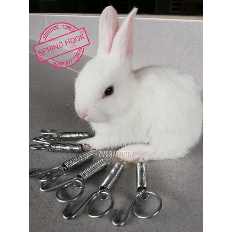 Spring pintu/Spring lock/Spring sangkar/Spring arnab/Hook Spring ...