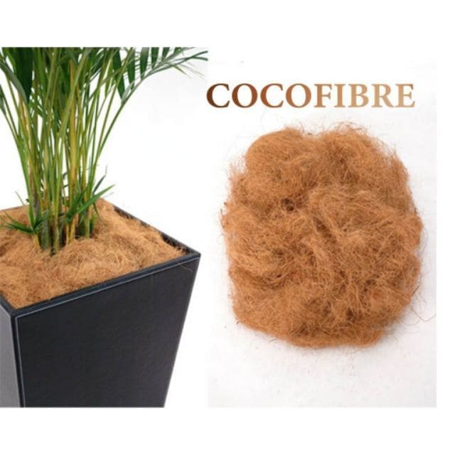 COCO FIBRE 5KG [RM 15 FREEE SHIP] | Shopee Malaysia