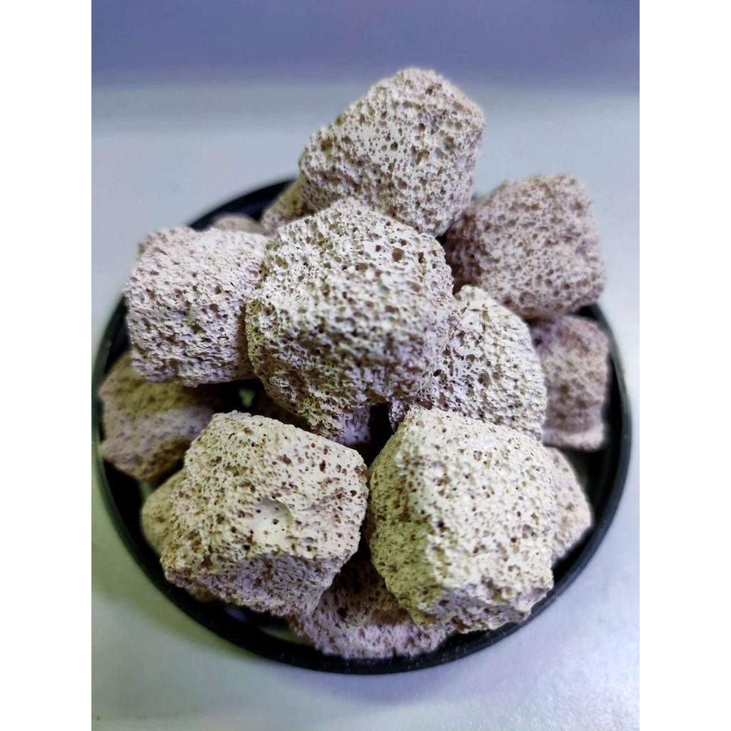 High Porosity Filter Media For Aquarium Filter 10Pcs (Brightwell Xport ...