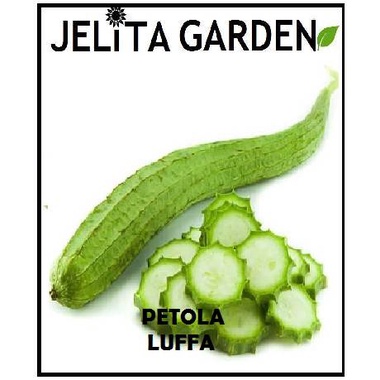 PETOLA SAYUR/ LUFFA SAYUR | Shopee Malaysia