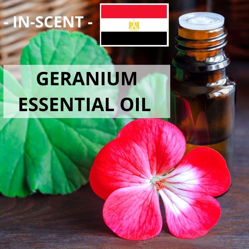 Geranium Essential Oil Imported From Egypt | Shopee Malaysia