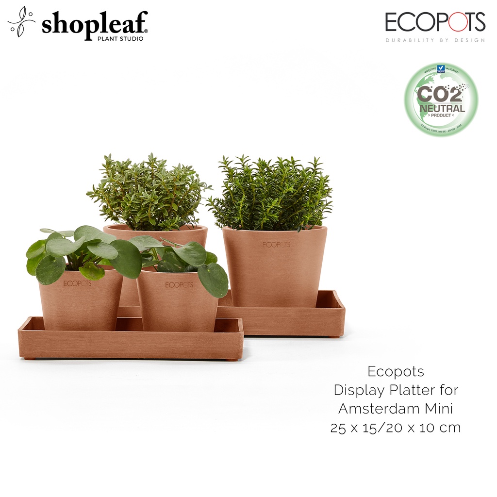 Ecopots Display Platter For Amsterdam Mini Pots 20/25 Cm Made With ...