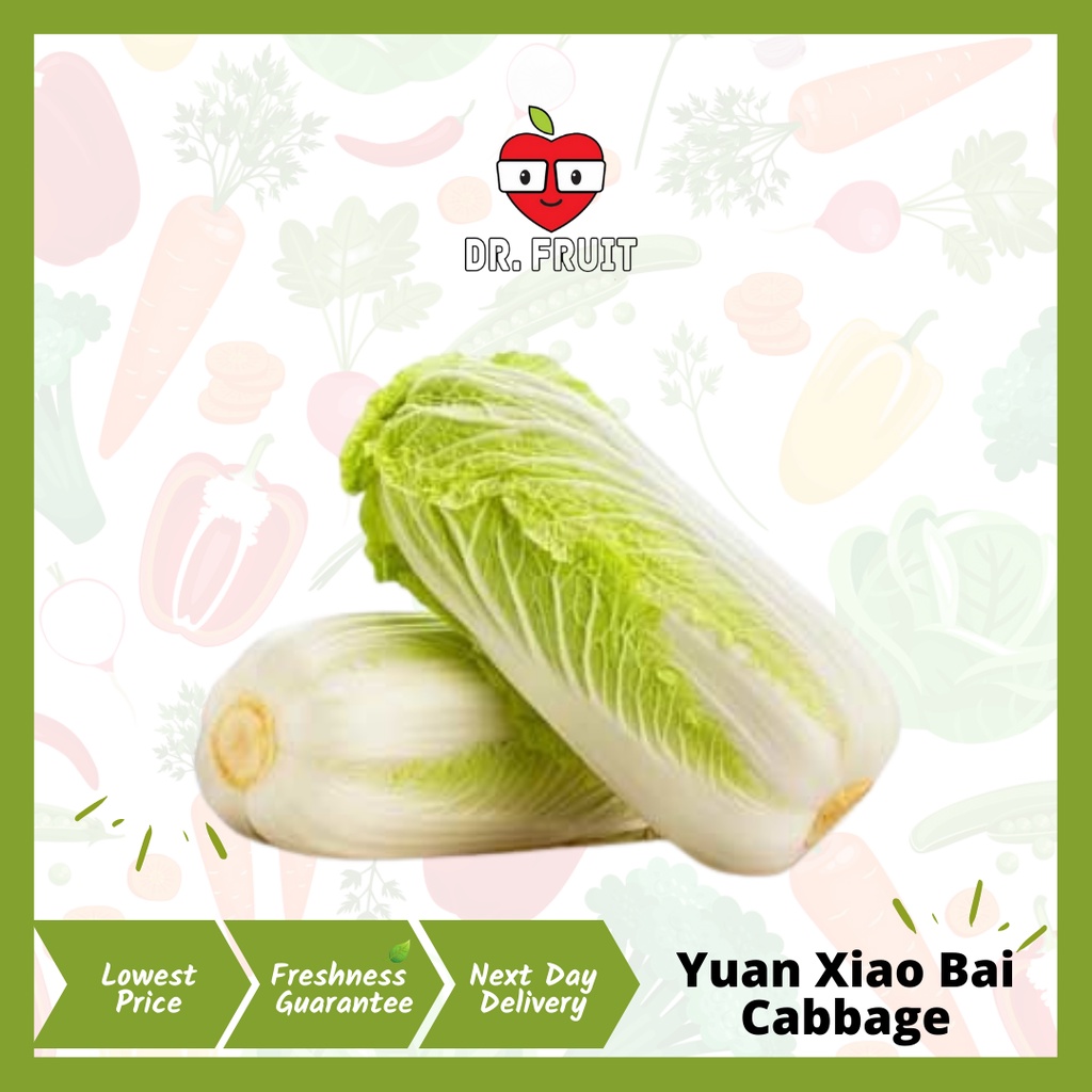 Yuan Xiao Bai Cabbage (500g-800g) 元宵白菜 | Dr.fruit | Shopee Malaysia