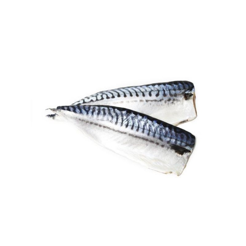 Saba Fish Mackerel Fillet 500g | Shopee Malaysia