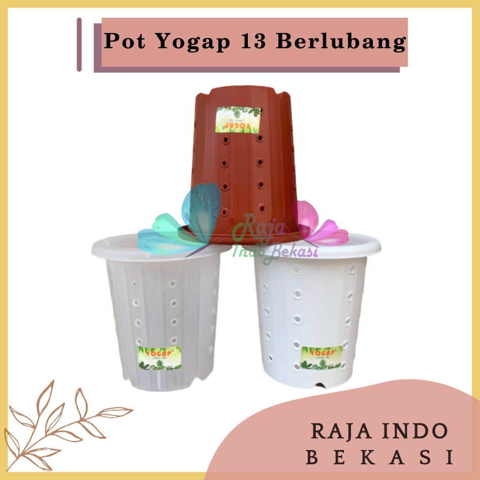 MERAH PUTIH Pot Yogap 13 White Clear Transparent Red Brick Red Brown ...