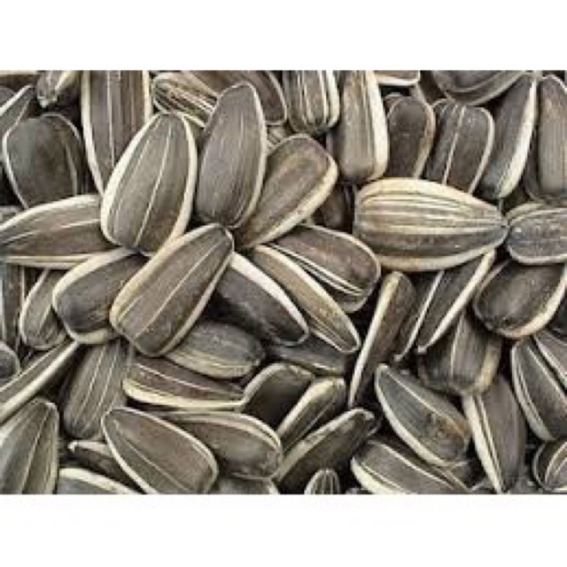 Sunflower Seed / Kuaci bunga 450g | Shopee Malaysia