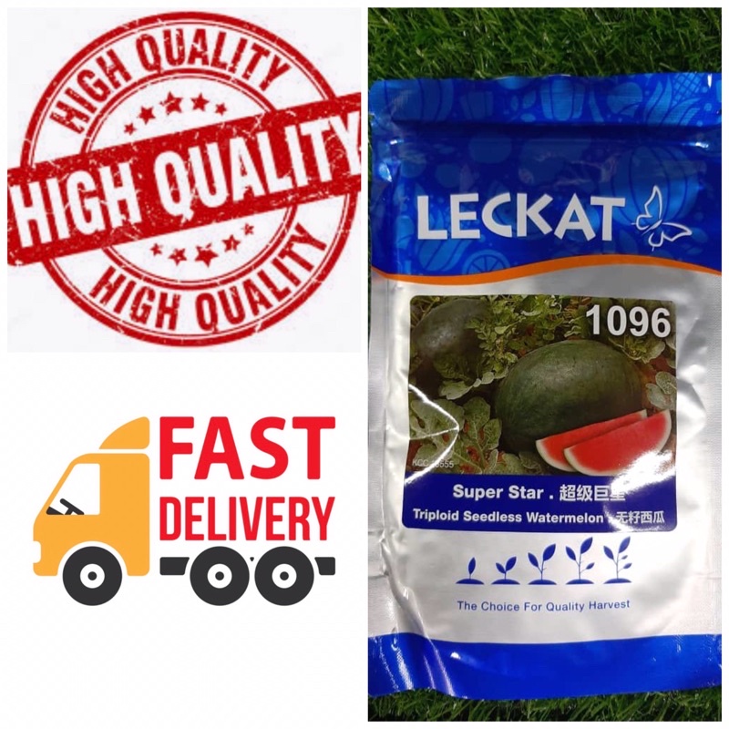 Benih Tembikai Merah Super Star 1096 Triploid Seedless Watermelon Leckat - ( 100g ) 👍 💯 | Shopee ...
