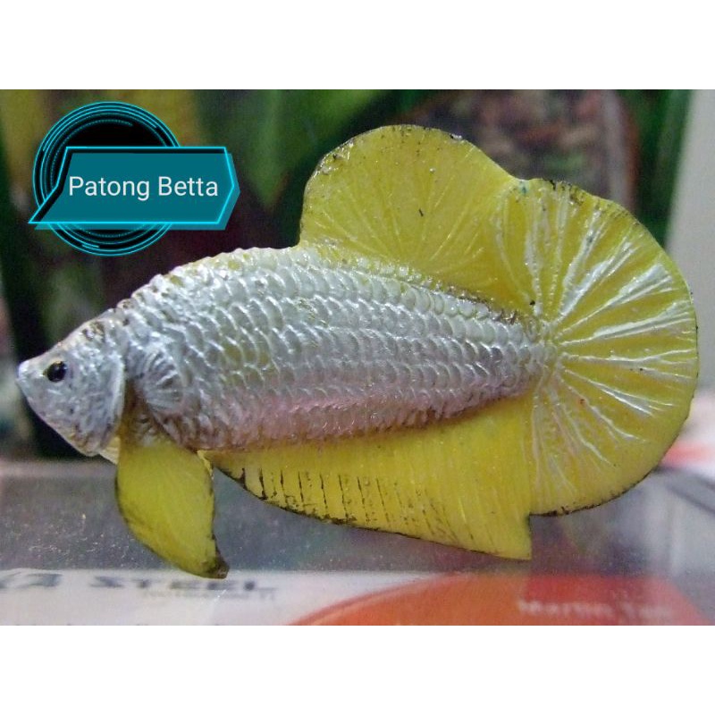 Decorative HMPK Yellow Dragon Betta True Scale Model | Shopee Malaysia