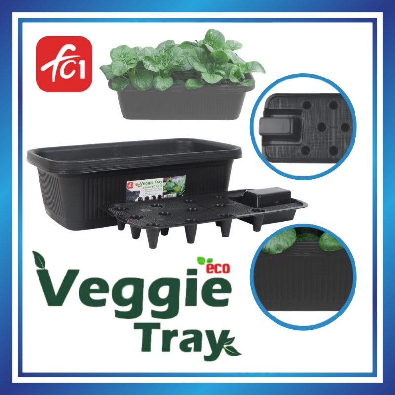 (READY STOCK) FC1 Plastic Veggie Tray / Plastic Flower Pot Rectangular ...