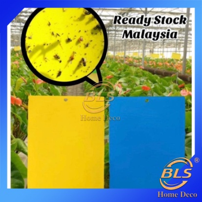 Pelekat serangga 15cm x 20cm Double-Sides Yellow Sticky Trap Flies Trap ...