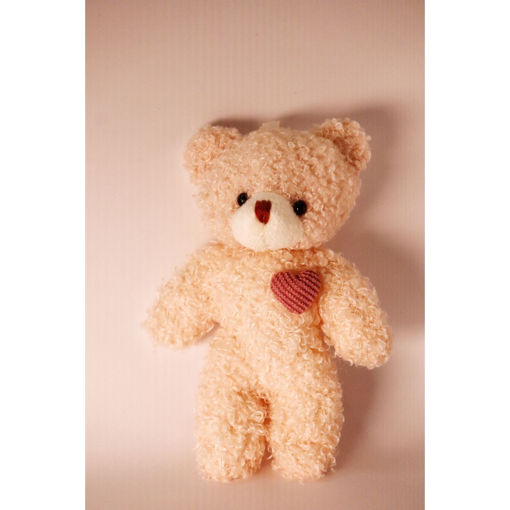 Lovely Cute Teddy Bear Toy Earth Colour | Shopee Malaysia