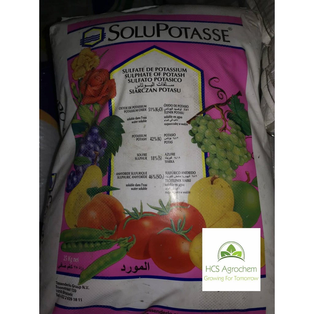 (+-1kg) SOLUPOTASSE SOP 100% Water Soluble Potassium Sulfate | Shopee ...