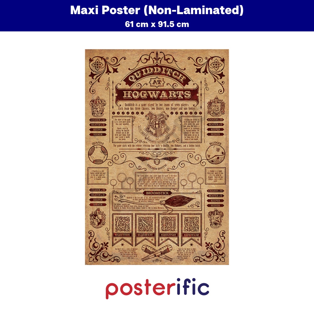 Harry Potter (Quidditch At Hogwarts) - Poster (61 cm X 91.5 cm ...