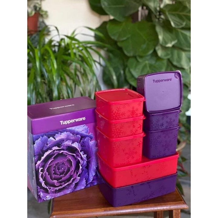 Tupperware Snowflake Square Round Set with Gift Box /Bekas sejuk Sayur ...