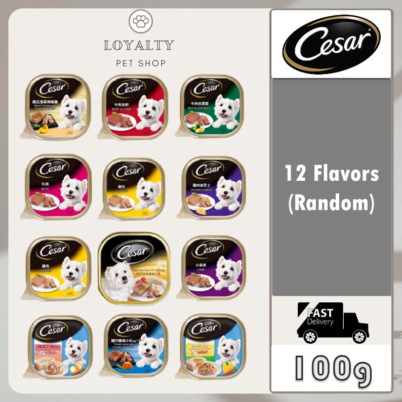 CESAR CAN WET DOG FOOD 100G RANDOMLY FLAVOR | Shopee Malaysia