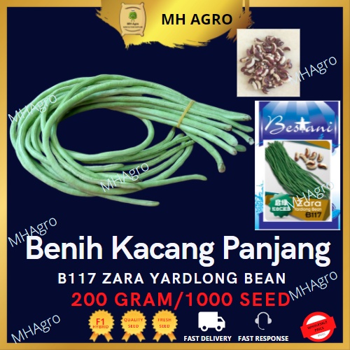 BESTANI B117 Benih Kacang Panjang ZARA Long Bean Seed 200Gram/1000Seed ...