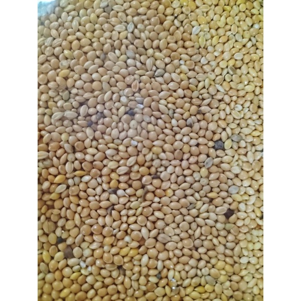 Sekoi product from U.S.A repack (1kg) | Shopee Malaysia