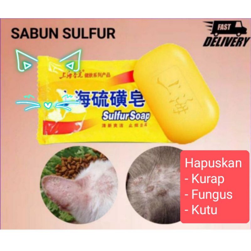💠SABUN SULFUR. (FUNGUS/KURAP/KUTU) | Shopee Malaysia