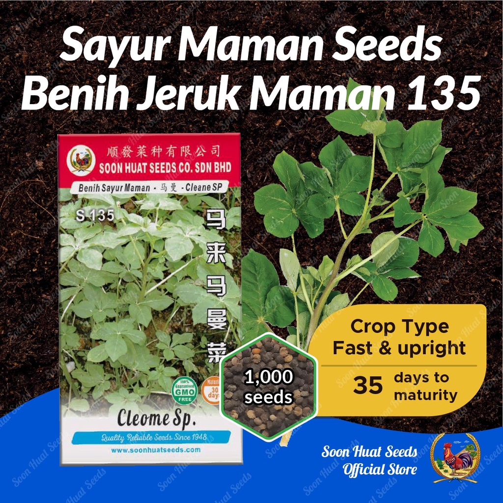 Benih Jeruk Sayur Maman Seeds 135 [Small Pack] Soon Huat Seeds | Shopee ...