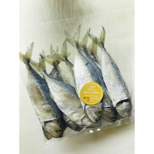 Ikan Kembong Kering / Ikan Kembong Masin / Kembong Kering 甘榜咸鱼(300g ...