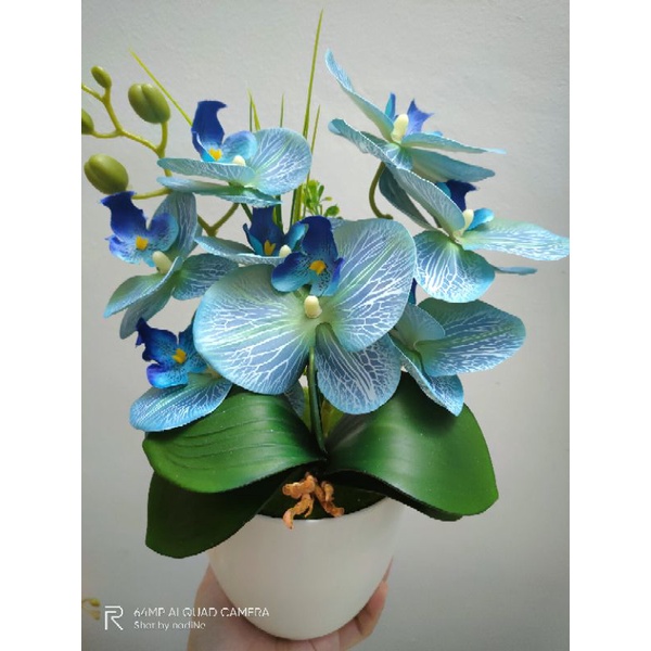 Gubahan 1 tangkai Orkid Latex bentuk rama-rama (Gubahan rendah ...