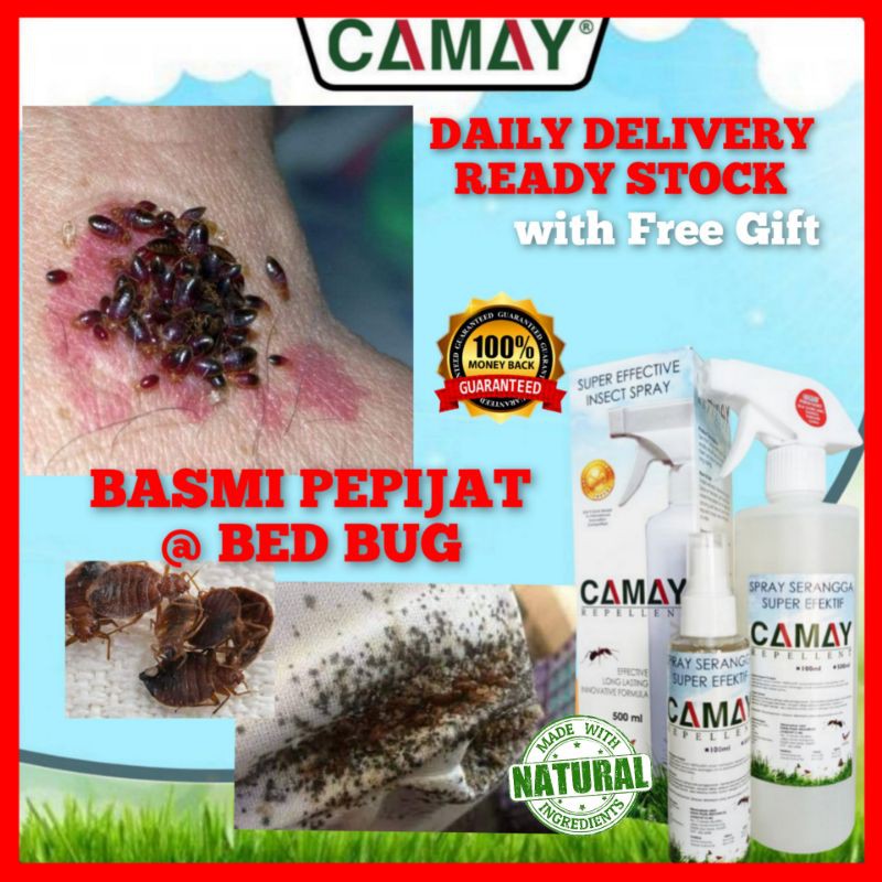 CAMAY RACUN SERANGGA ORGANIK HAPUS PEPIJAT, KUTU HAIWAN /KILL BED BUG ...