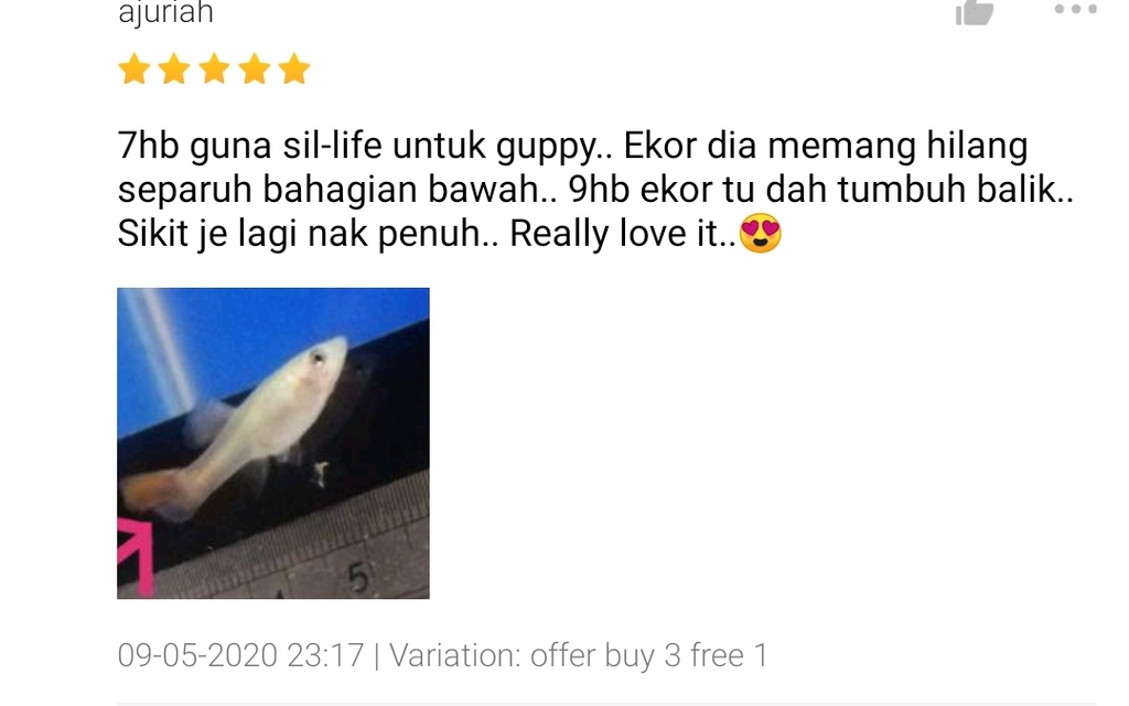 PA Sil-Life Betta Luka Dropsy | Shopee Malaysia