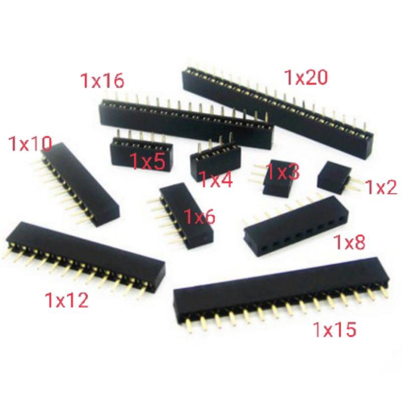 Straight Pin Header (Female) | Shopee Malaysia