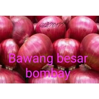 Buy bawang besar Online With Best Price, Jun 2024 | Shopee Malaysia