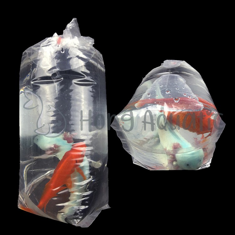 Ready Stock10pcs Live Fish Packing Plastic Bag Flat Bottom Fish ...