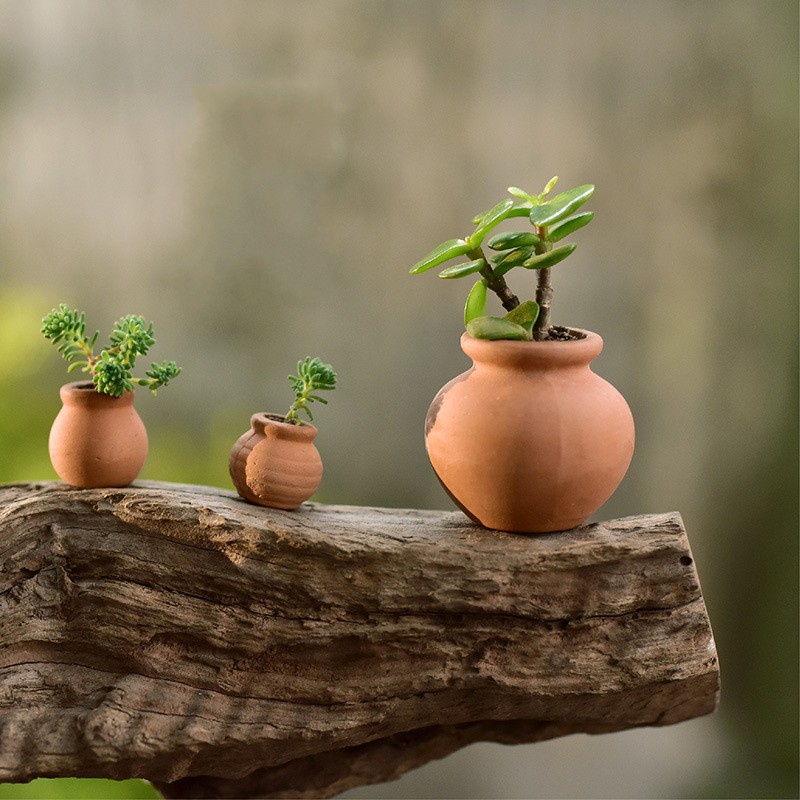 Small Mini Terracotta Flowers Pot Clay Ceramic Round Pottery Succulent ...