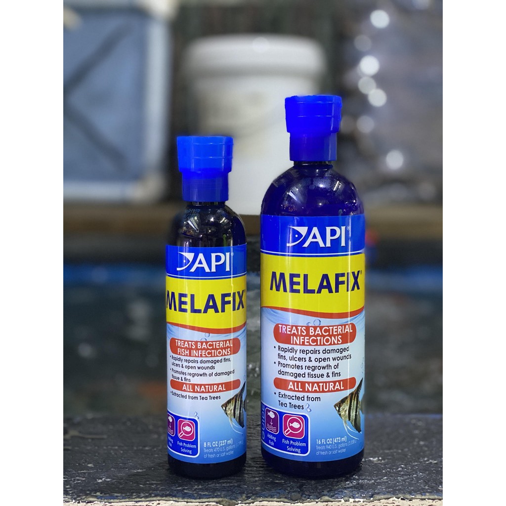 API Melafix Fish Bacterial Infection Treatment | Shopee Malaysia