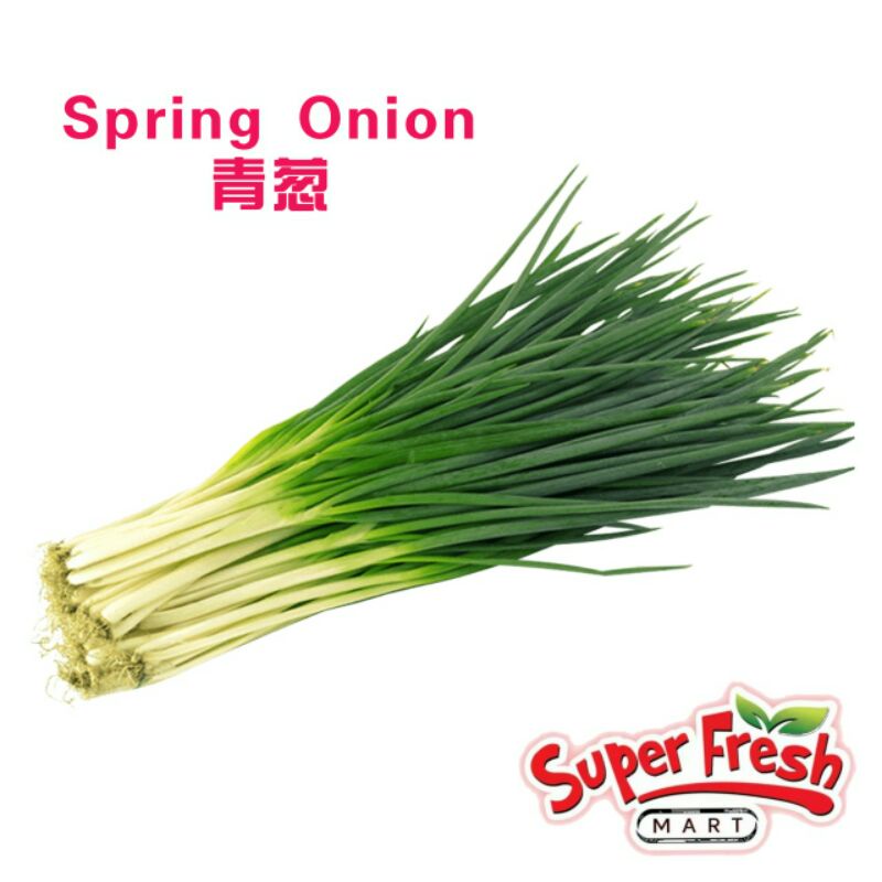 Spring Onion 青葱 (100g) | Shopee Malaysia