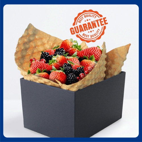 ECO Paper Bubble Wrap (BIO) 380 x 290 mm (20 pcs) | Shopee Malaysia