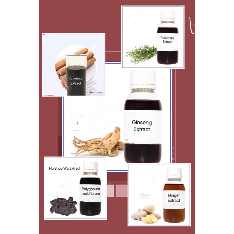 Ginger/Ginseng /Rosemary /sakura/Polygonum multiflorum /Chamomile ...