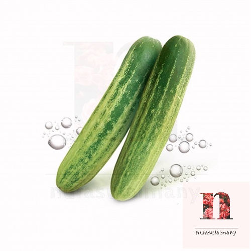 Timun Cucumber 1kg [Klang Valley Only] Barang Basah Segar Fresh Produce ...