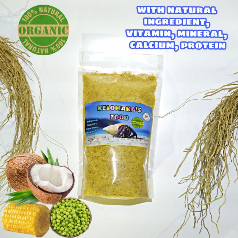 [200 Gr] ang's food foodAng land Conch kumang umang pompongan hermit ...