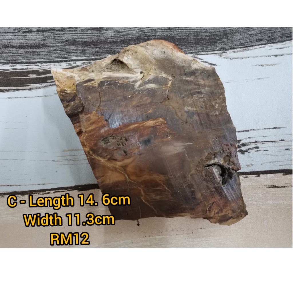 Unik untuk Set makan Natural Petrified Wood Deco Dining Coaster Alas ...