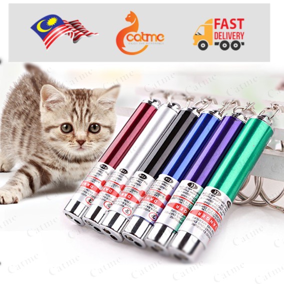 2 in 1 Key Ring Laser Pointer (Cat Teaser) | Shopee Malaysia