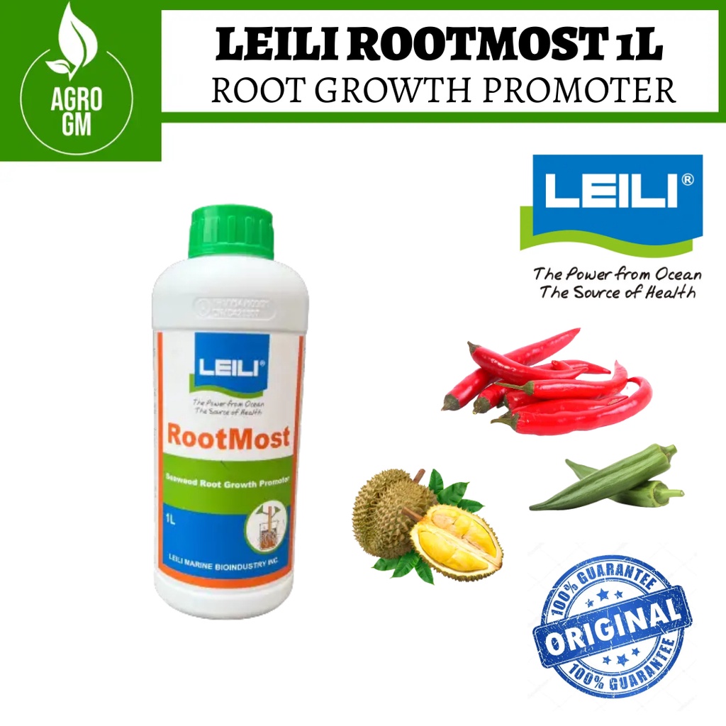 LEILI 1L RootMost Seaweed Fertilizer Root Growth Promoter Stronger Roots To Over Come Transplant ...