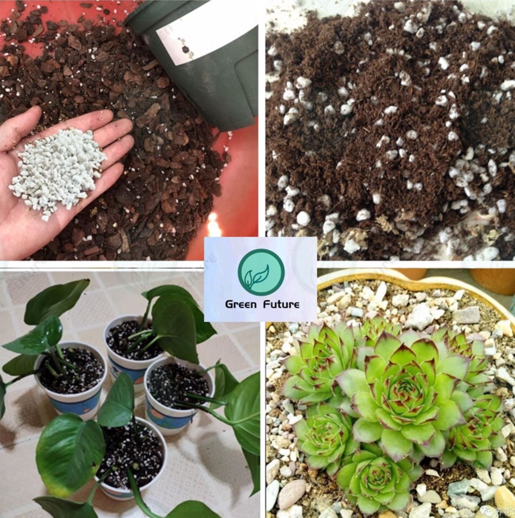 Perlite 珍珠岩 3-5mm For Cactus & Succulents soil Volcanic Perlite ...