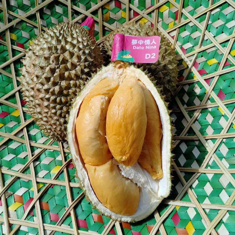 Pokok Durian D2/Anak Pokok Limited Edition | Shopee Malaysia