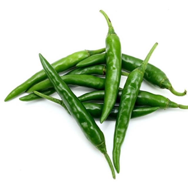 100pcs seeds CILI PADI HIJAU Thai Cili Tomyam | Shopee Malaysia