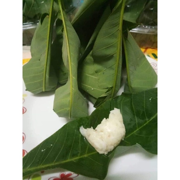 tapai pulut daun getah | Shopee Malaysia
