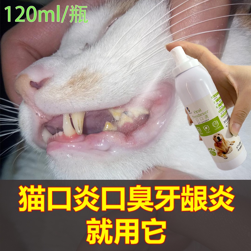 Cat stomatitis spray pet cat drooling gum red swelling oral anti ...