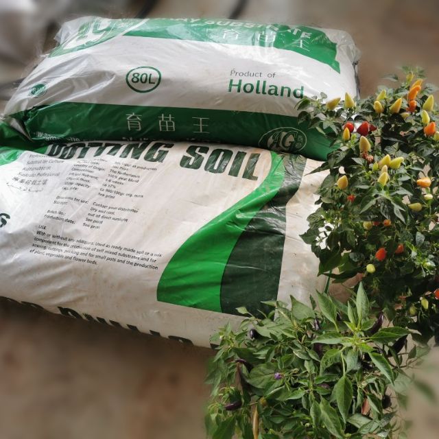 25kg Peatmoss Holland | satu guni peat moss | tanah baja | potting soil ...